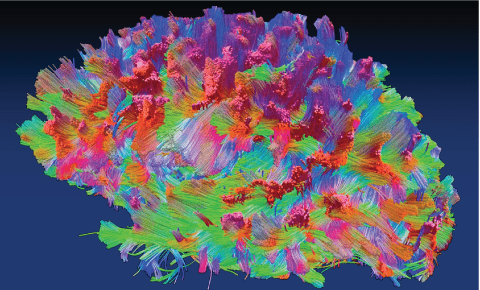 UPMC Department of Neurosurgery